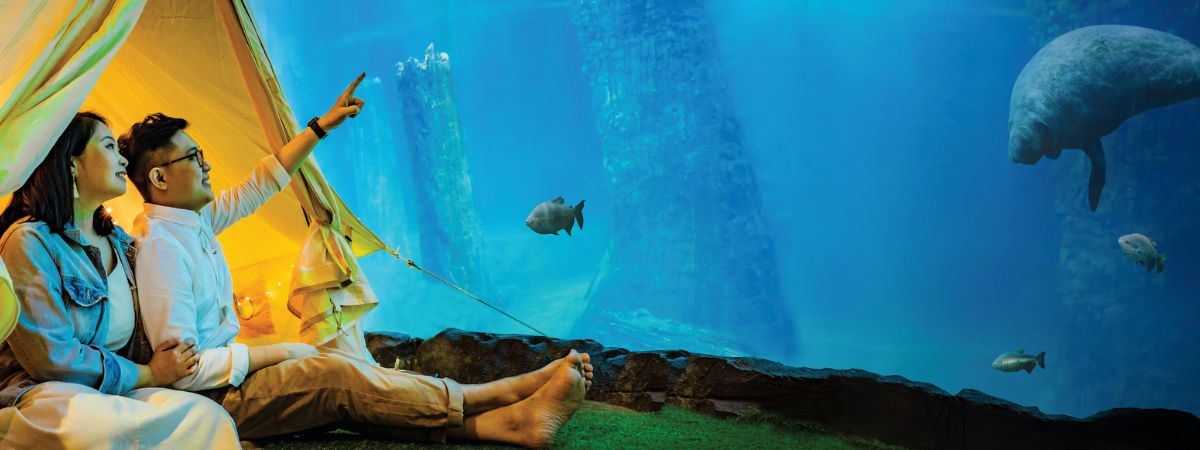 Glamping at Singapore Zoo: What to Expect