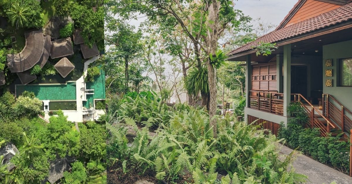 Reset & Renew: Asia's Best Wellness Resorts for 2026